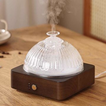 Quality Glass Wooden Essential Oil Aroma Diffuser ▕ DN-839 for sale