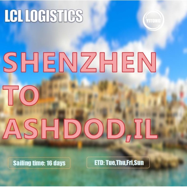 Quality Shenzhen To Ashdod Israel LCL International Shipping Through Sea ONE Liner for sale
