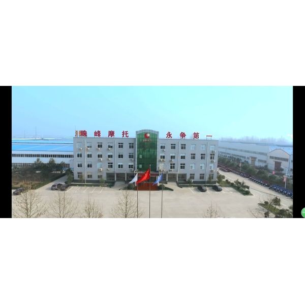 Quality Gasoline 1500KG 200w Three Wheel Cargo Motorcycle for sale