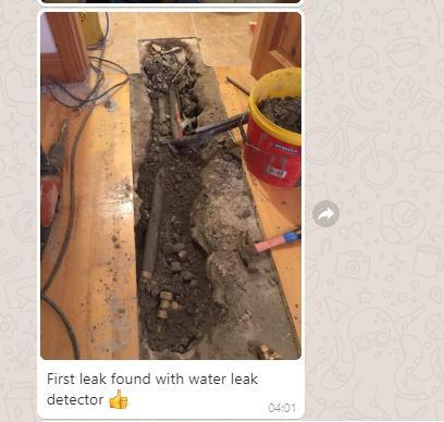 Underground Water Leak Detector 5meters Depth Pqwt-L4000 Plumbing Service