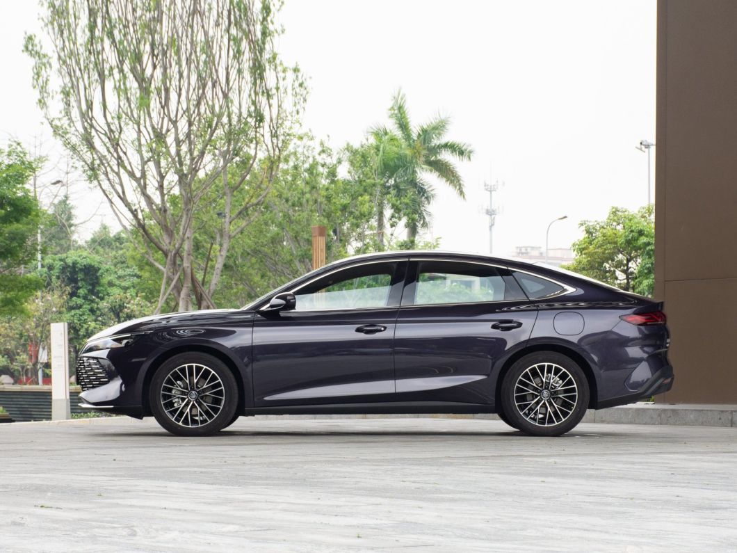 Byd Qinl 2024model Dm-I 120km Excellence Version Top Version