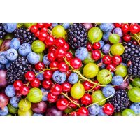 Quality Fruit Flavor For Animal Feed for sale