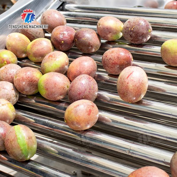 Quality Fruit Orange Vegetable Saiko persimmon lemon tangerine passion fruit avocado for sale