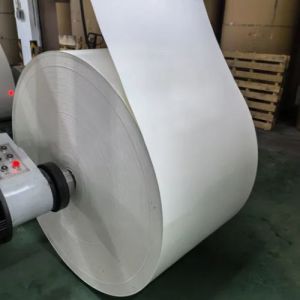 Quality APP ENSO Food Grade Raw Material PE Coated Cup Stock Paper Board Roll for Paper for sale
