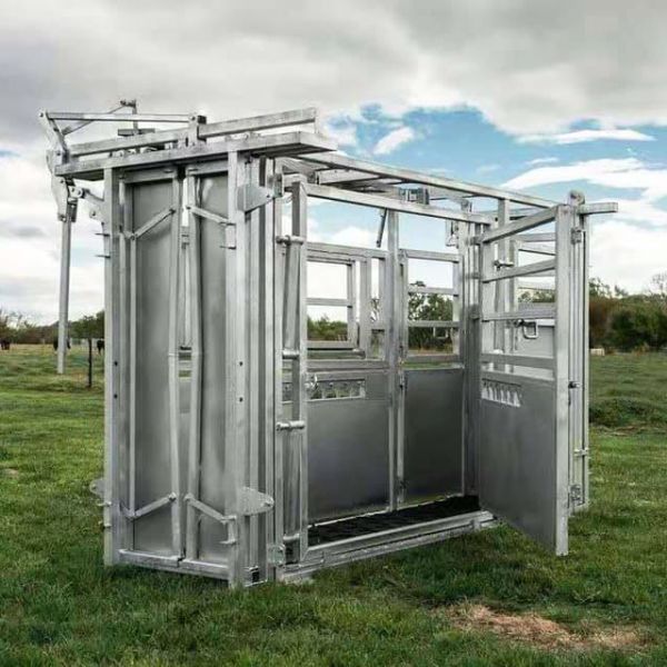 Quality Customized Cattle Head Crush Galvanized Cattle Clipping Crush for sale