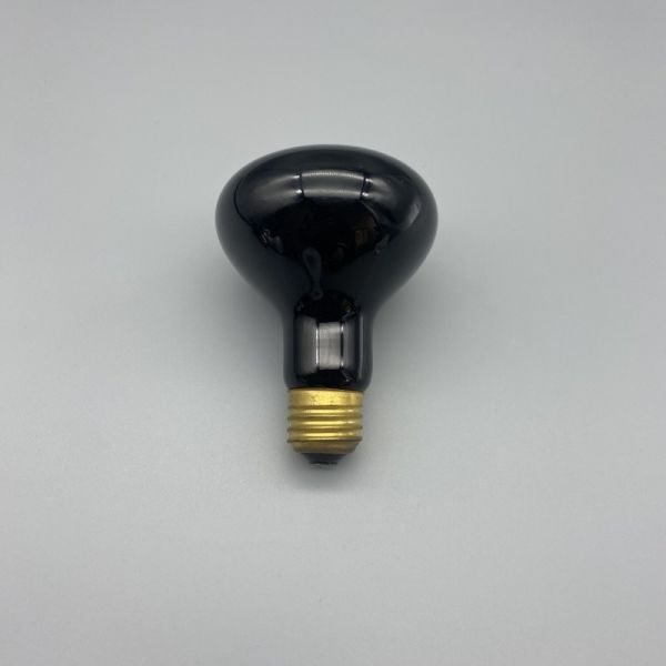 Quality Moonlight Zoo Med 150 Watt Basking Bulb For Spider Snake Chameleon for sale