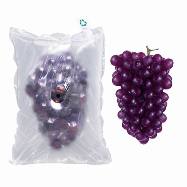 Quality Waterproof Sturdy Self Inflated Bubble Wrap Shock Resistant Practical for sale