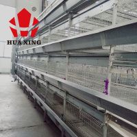 Quality Customized Poultry Chicken Cage Q235 Galvanized With Accessories for sale