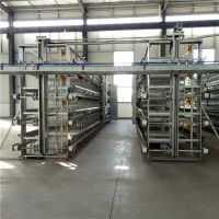 Quality Poultry Farm Automatic Egg Collection System For A Cage H Cage for sale