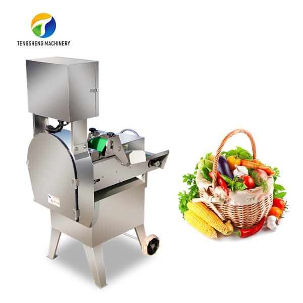 Quality 1000KG/H 1.25KW 220V Single Head Vegetable Cutter Machine (TS-Q115) for sale