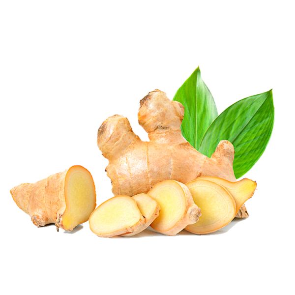 Quality Wholesale Chinese Organic Fresh Ginger High-quality Young Ginger From China Cold Storage for sale