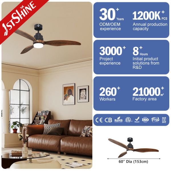 Quality New Arrival DC Motor 3 Solid Blades Decorative Led Ceiling Fan With Light for sale