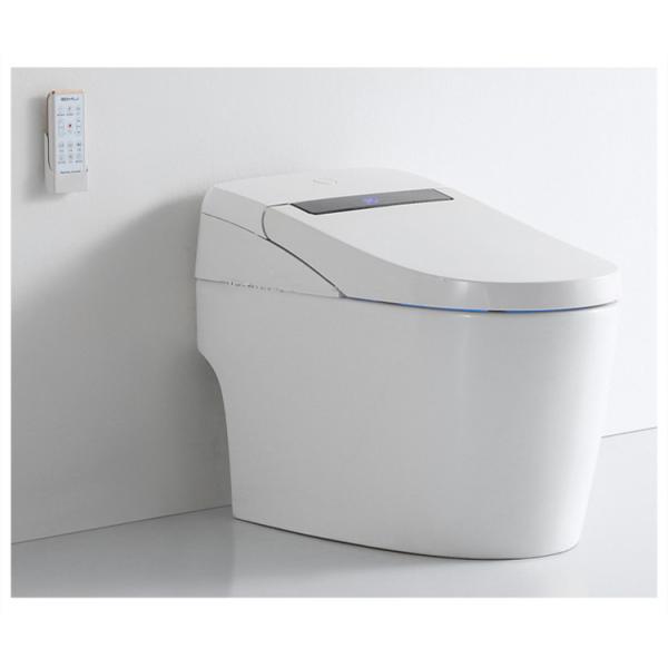Quality Waterproof Air Purification Acrylic ABS Intelligent Flushing Toilet Seat for sale