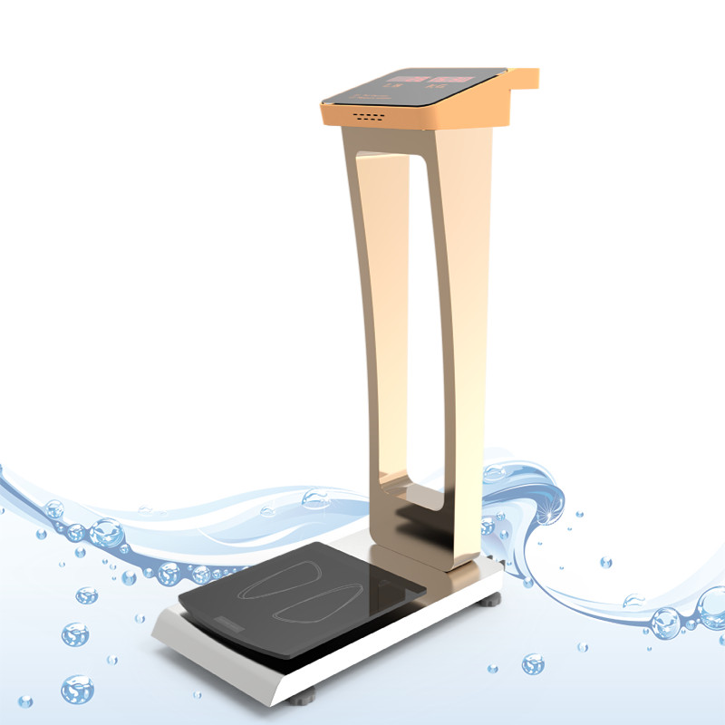 Quality User-Friendly 0.1kg Division Coin Operated Baggage Weighing Scale for Hotel for sale