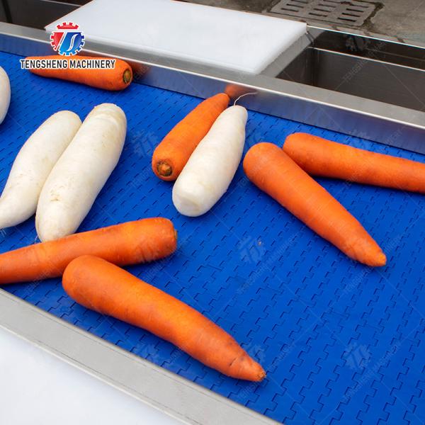 Quality Enhance Your Production with Our State-of-the-Art Fruit And Vegetable Processing for sale