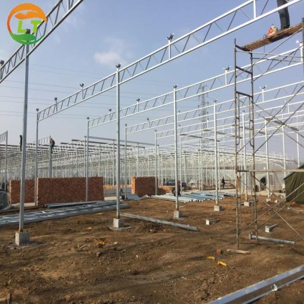 Quality American Tomato Agriculture Polycarbonate Greenhouse Equipped with Hydroponic for sale