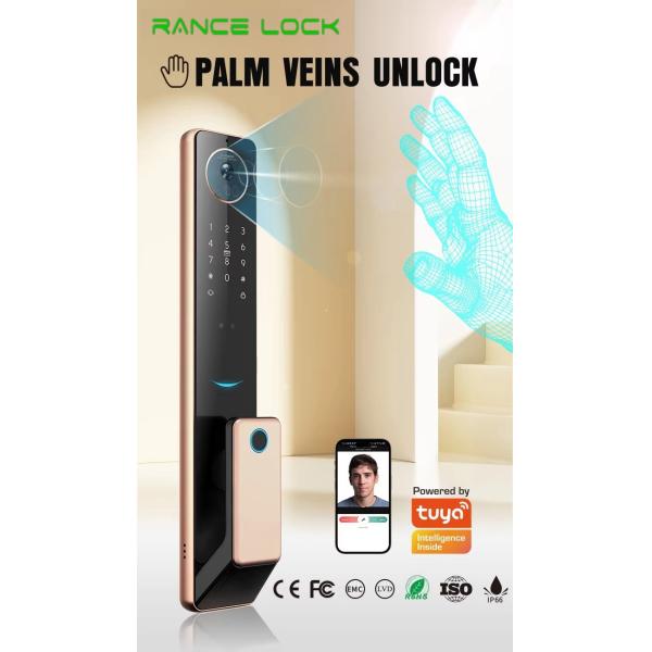 Quality Wifi Smart Door Lock Bluetooth 3D Face Lock OEM ODM For Home for sale