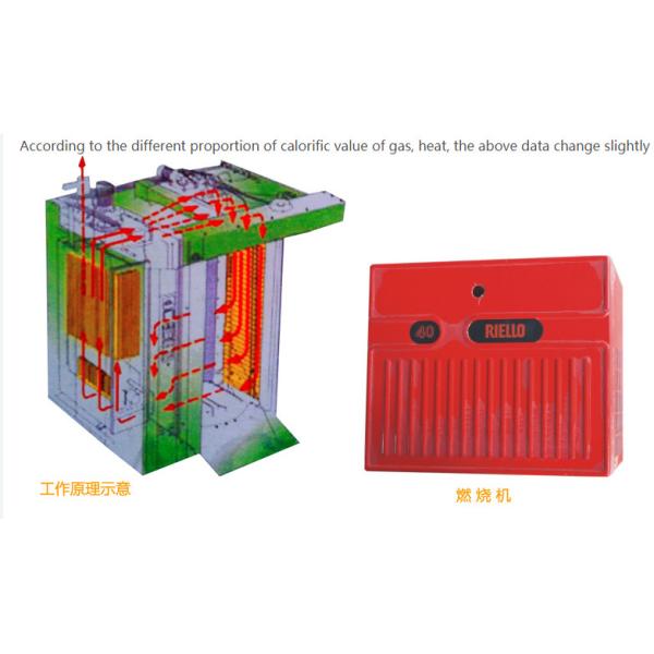 Quality 50Hz Food Grade SS304 Industrial Bakery Equipment for sale
