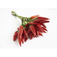 China Chaotian Hot Pot Chilli Dehydrated Whole Dried Red Chili Peppers factory