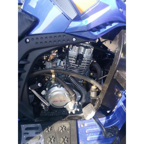 Quality Gasoline Oil Pressure Disc 250CC Cargo Tricycle for sale