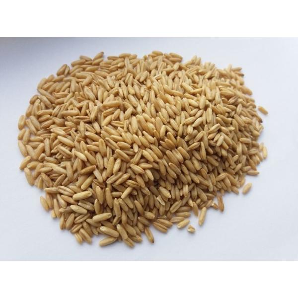 Quality Centrifugal Oat Maize Shelling Machine 50HZ Oat Peeling Machine for sale