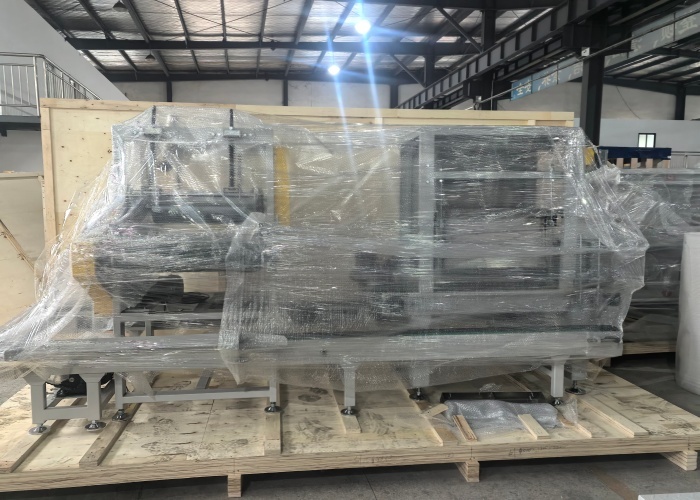 50Kg automatic weighing and packing machine packaging and delivery process