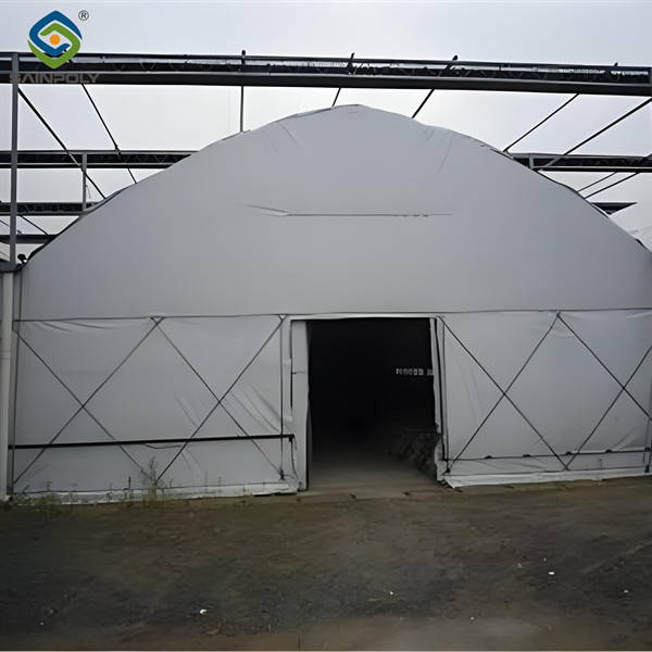Quality Electrical Control Mushroom Growing Greenhouse With Hot Galvanizing Pipe for sale