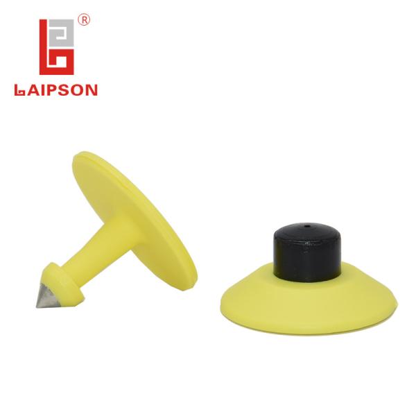 Quality 28mm Plastic Pig Ear Tags Seal Head Number Bar Code Print Insurance Use for sale