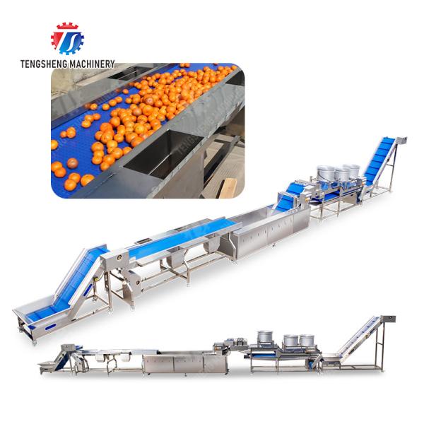 Quality vegetable drying equipment	Fruit and vegetable selection  washing and drying production line Fruit Vegetable FOOD processing production Machine fruit juice processing machines for sale