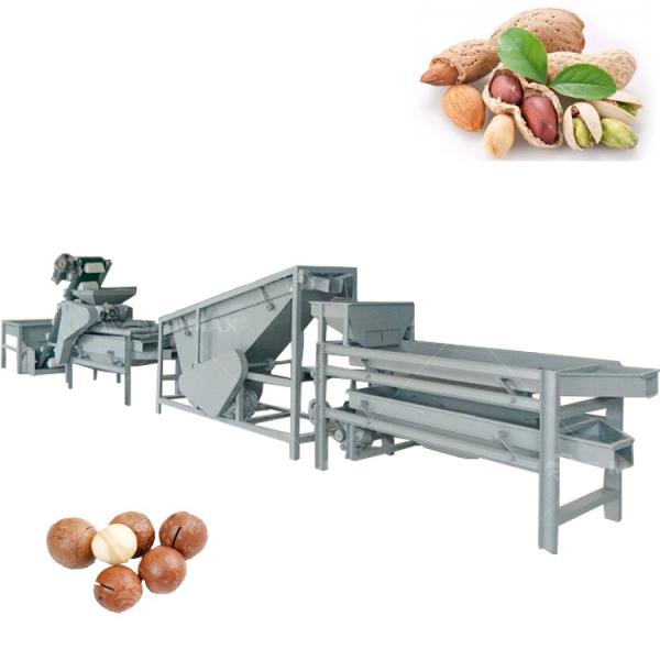 Quality Upgrade Your Nut Processing with Our Hazelnut Cracker and Pistachio Shelling for sale