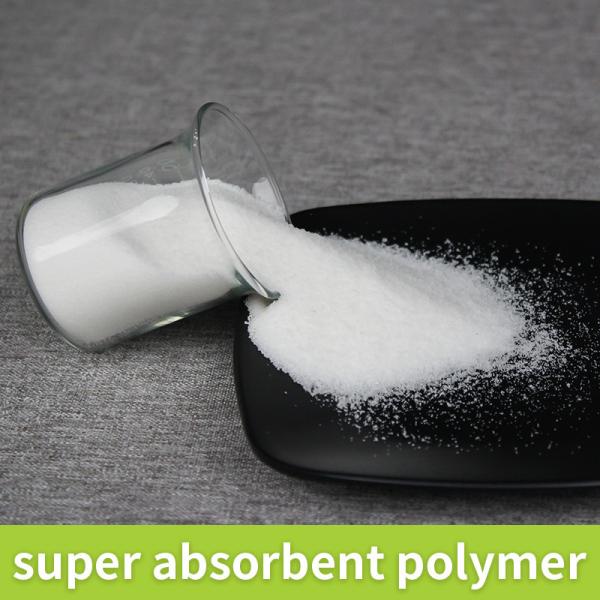Quality Environmentally Friendly Sap Super Absorbent Polymer 9003-04-7 Sap Sodium for sale