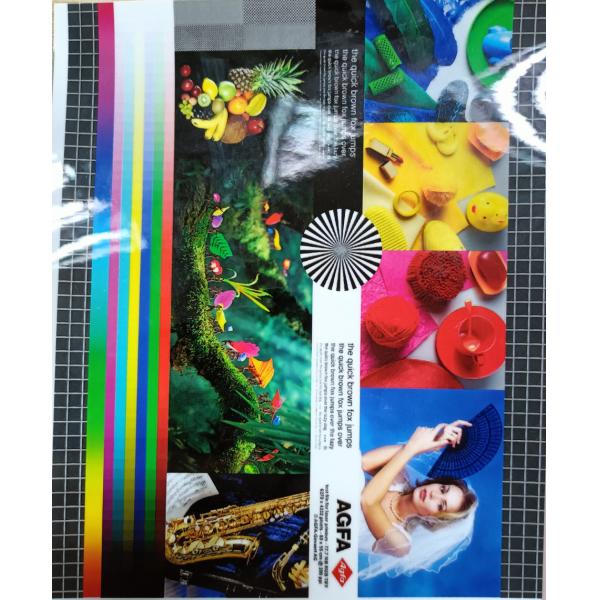 Quality Photo Photography PET Thermal Lamination Film Crystal And High Transparency for sale