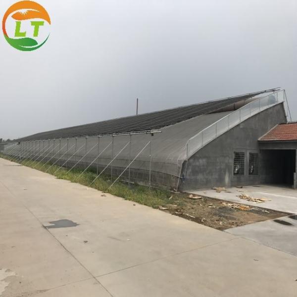 Quality Film Agricultural Solar Greenhouses Maximize Your Vegetable Fruits and Flowers for sale