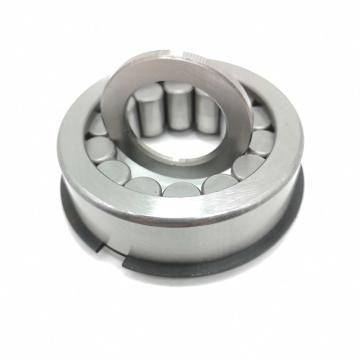 Quality VP34-4NX Cylindrical Roller Bearing 34x64x22mm Single Row Neutral Packing for sale