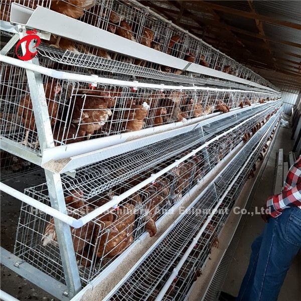 Quality 4 Tiers Layer Chicken Battery Cages Automatic In Uganda Ada for sale