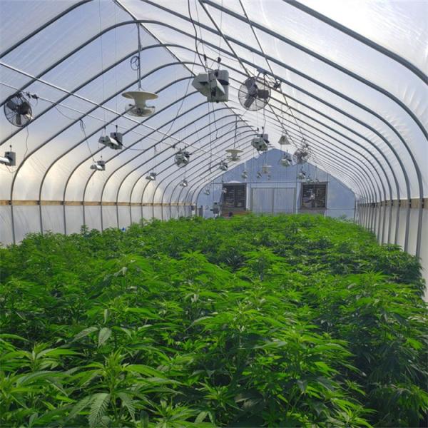 Quality Film Galvanized Sheet Light Deprivation Greenhouse Kits Length 30-60m for sale