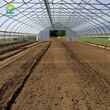 Quality 10-100m Length Broccoli Polytunnel Foil Greenhouse With Metal Frame for sale