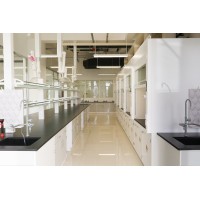 Quality Experimental bench ventilation cabinet for sale