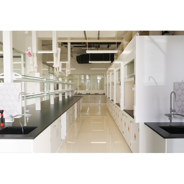 Quality Experimental bench ventilation cabinet for sale