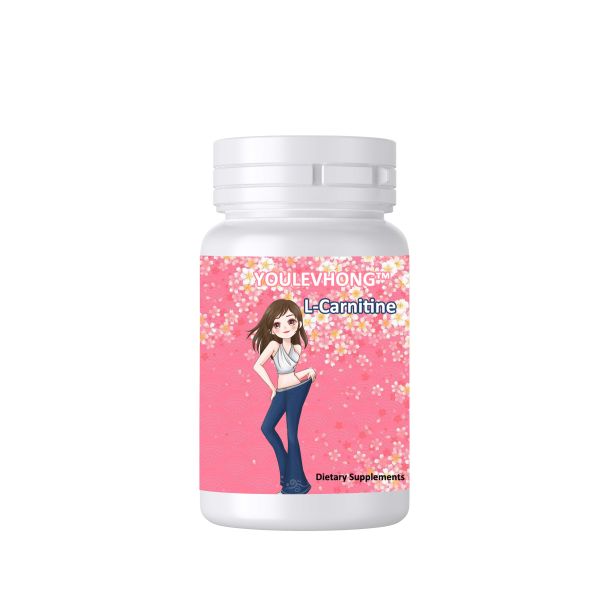 Quality Vegetarian Alternative L Carnitine Supplements 60 Capsules Support Fat for sale