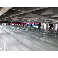 Quality Automatic Industrial Ice Block Freezing Machine Maker 10 Ton 50kg for sale