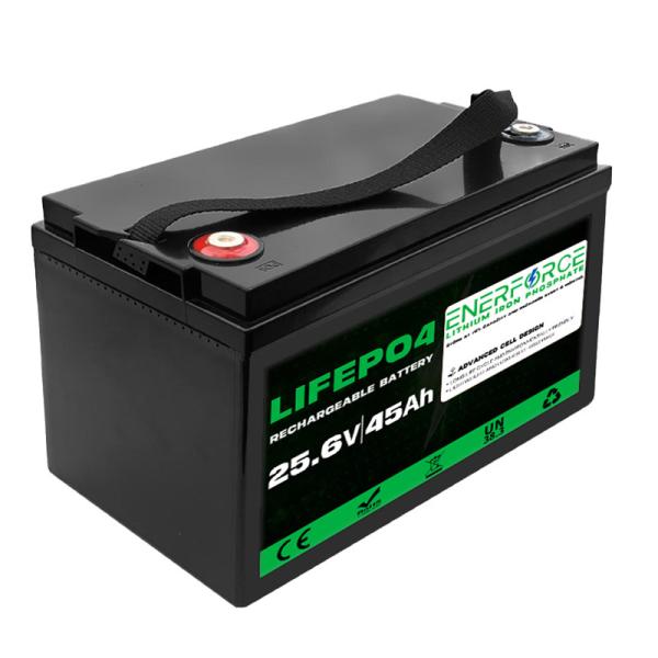Quality Club Car Golf Cart Battery 45AH 24V Lithium Phosphate Battery for sale