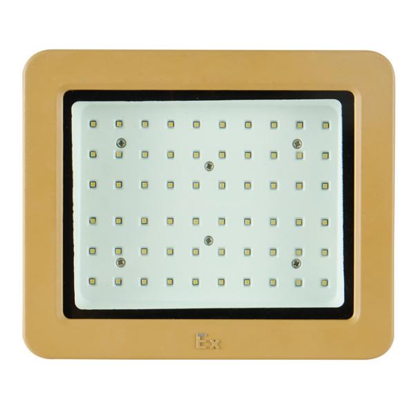Quality explosion proof led lights nec class 1NEW-FBF011-50W explosion-proof high bay for sale