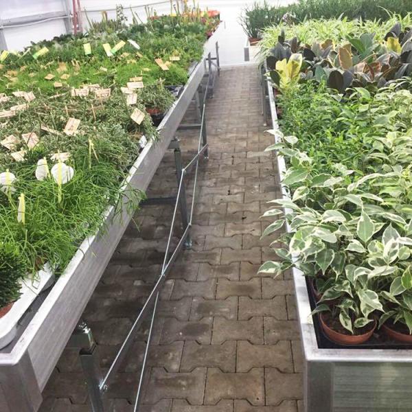 Quality Agricultural Plastic Greenhouse Benches Economical Practical Ebb And Flow for sale