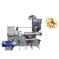 Quality Screw Cold Press Peanut Oil Line Peanut Oil Processing Machine Oil Press Machine for sale