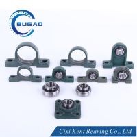 Quality Deep Groove Raceway Bearing Steel Pillow Block Bearings UC UCP Ucph UCFL Ucfu UK for sale