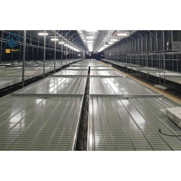 Quality Vegetable Ebb And Flow Rolling Benches Movable Nursery Tray Hydroponics Flood Table for sale