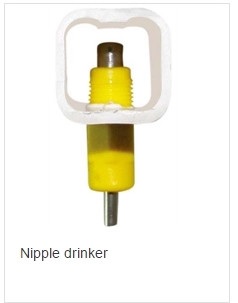 Quality Automatic Square Pipe 22cm*22cm Nipple Drinkers For Broilers for sale