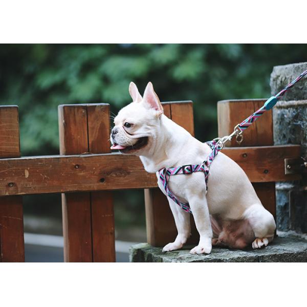 Quality Easy Pull Dog Walking Harness For Hiking for sale