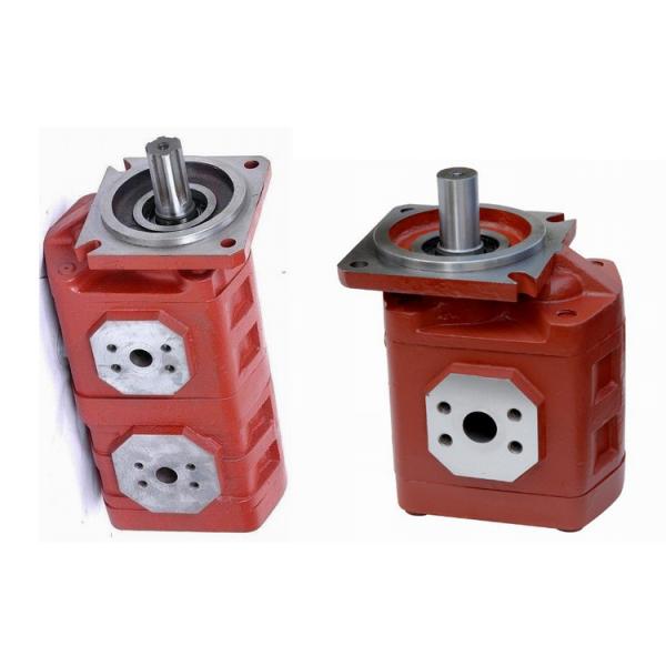 Quality  Hydraulic Submersible Water Pump , CBGJ Gear Oil Pumps for sale